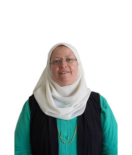 Academic Staff | Engineering and Applied Science School